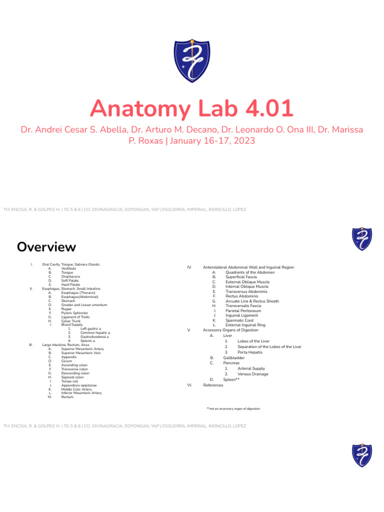 ANA Lab 4.01 Dissection of Abdominal Wall and Abdominal Viscerae | PDF ...