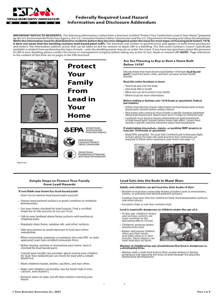 Lead Safety for Families & Homes | PDF