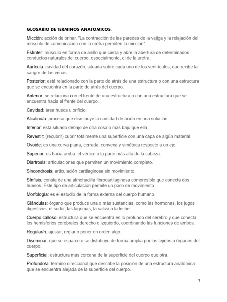 Glosario de Terminos Anatomicos | PDF | Anatomía humana | Morfología (biología)