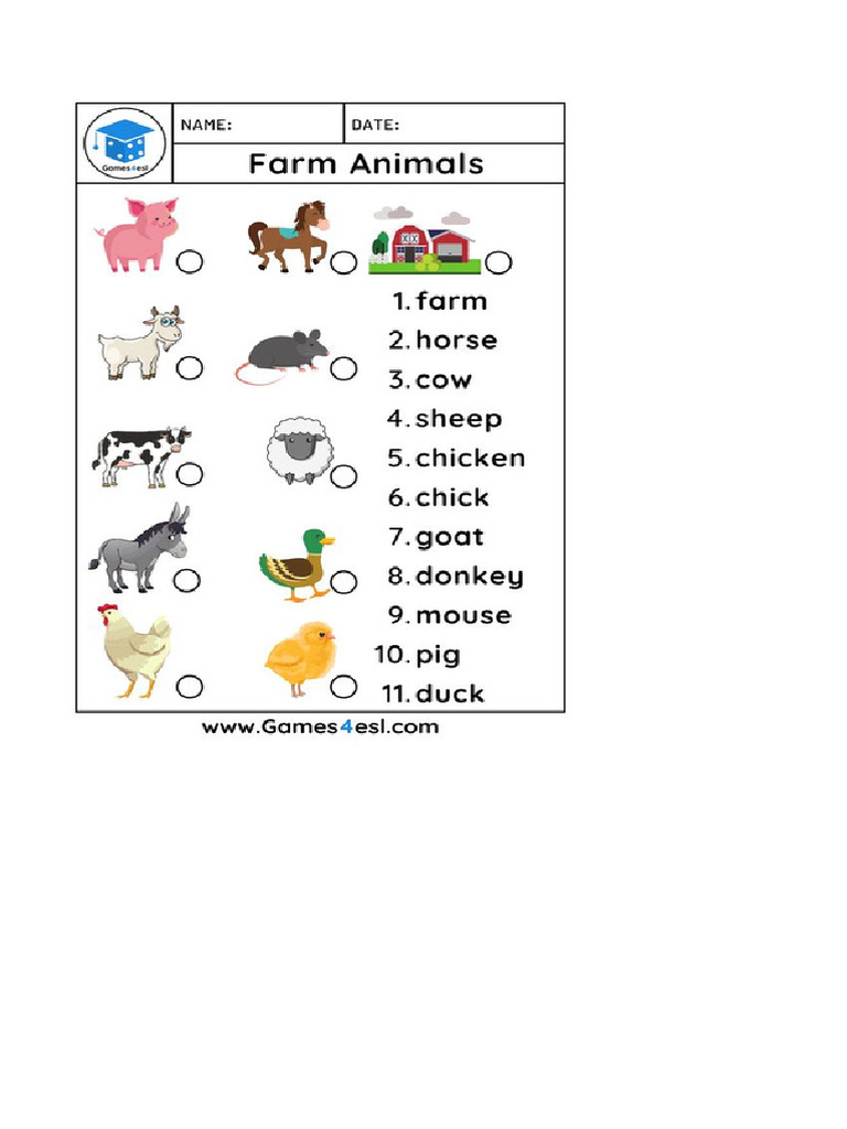 2° Grade Activit | PDF