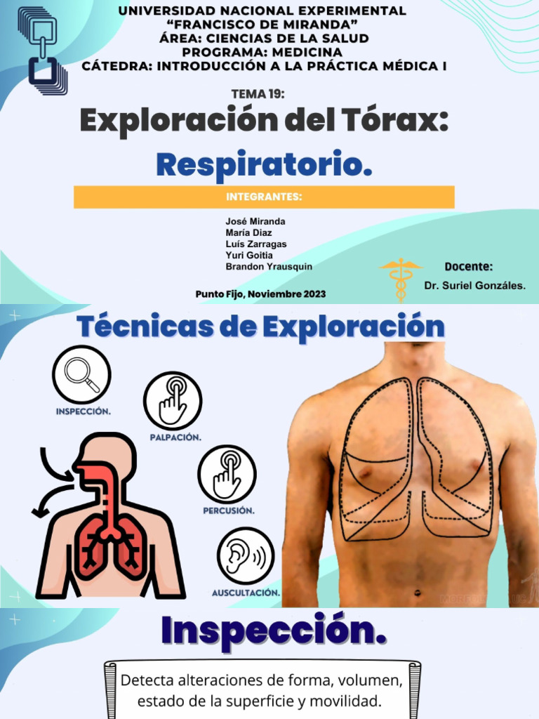 Exploración Tórax | PDF