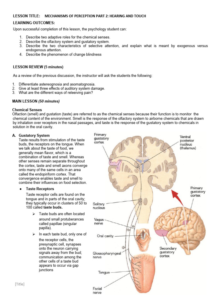 Sas Session 10 Mechanisms of Perception Part 2 Hearing and Touch | Download Free PDF | Taste ...