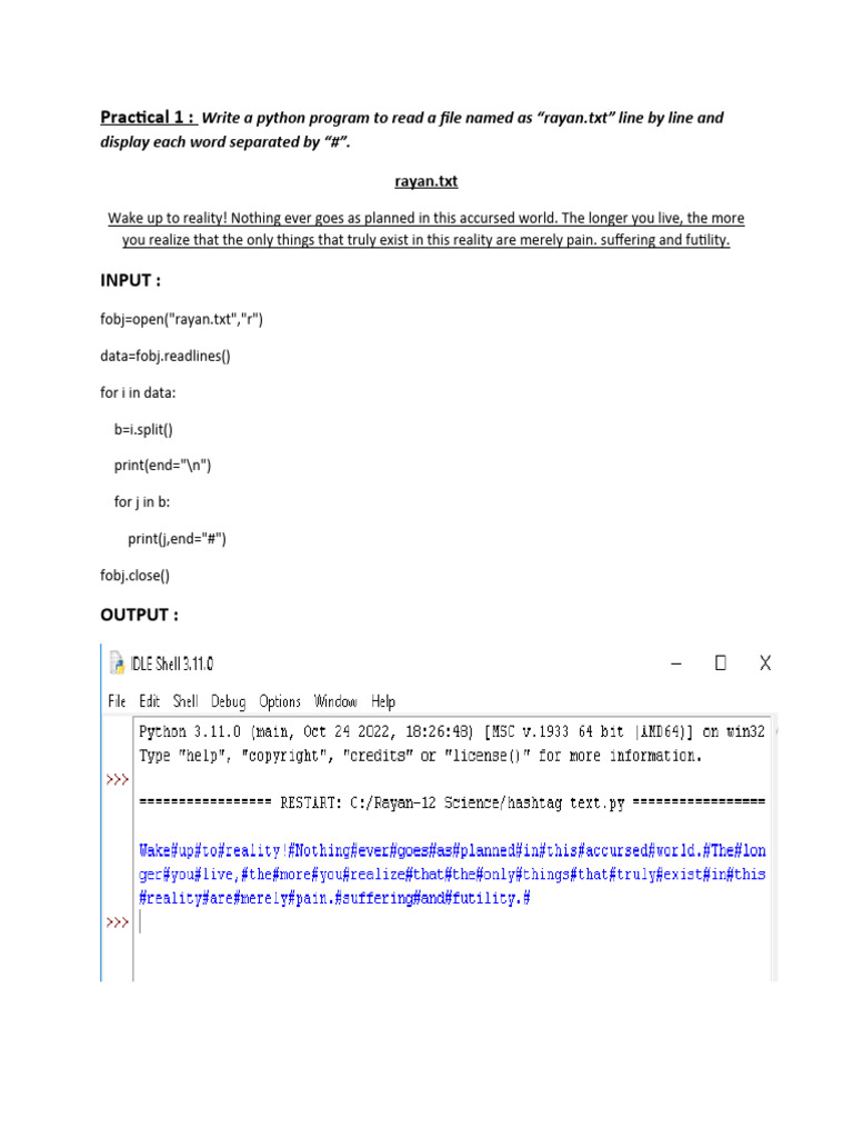 Python File Reading Exercise | PDF