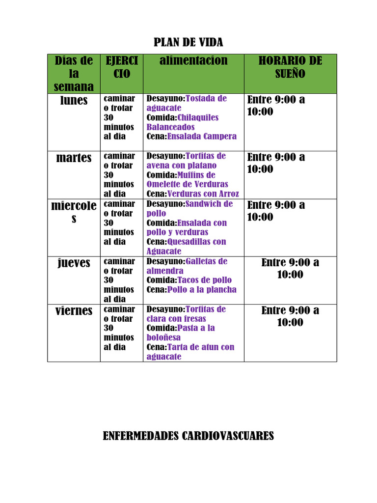 Plan De Vida Pdf
