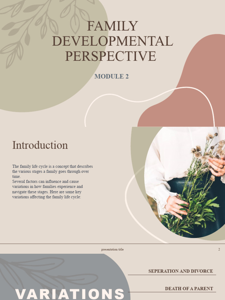 Family Developmental Perspective | PDF | Family | Stepfamily