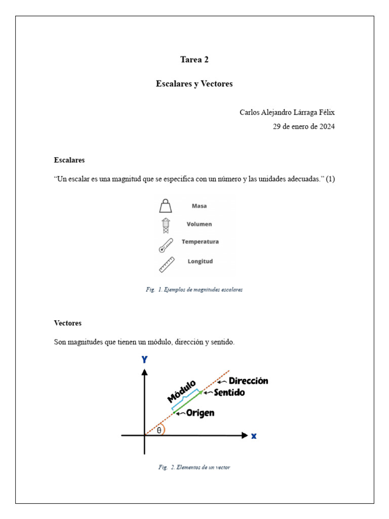 Vectores y escalares | PDF