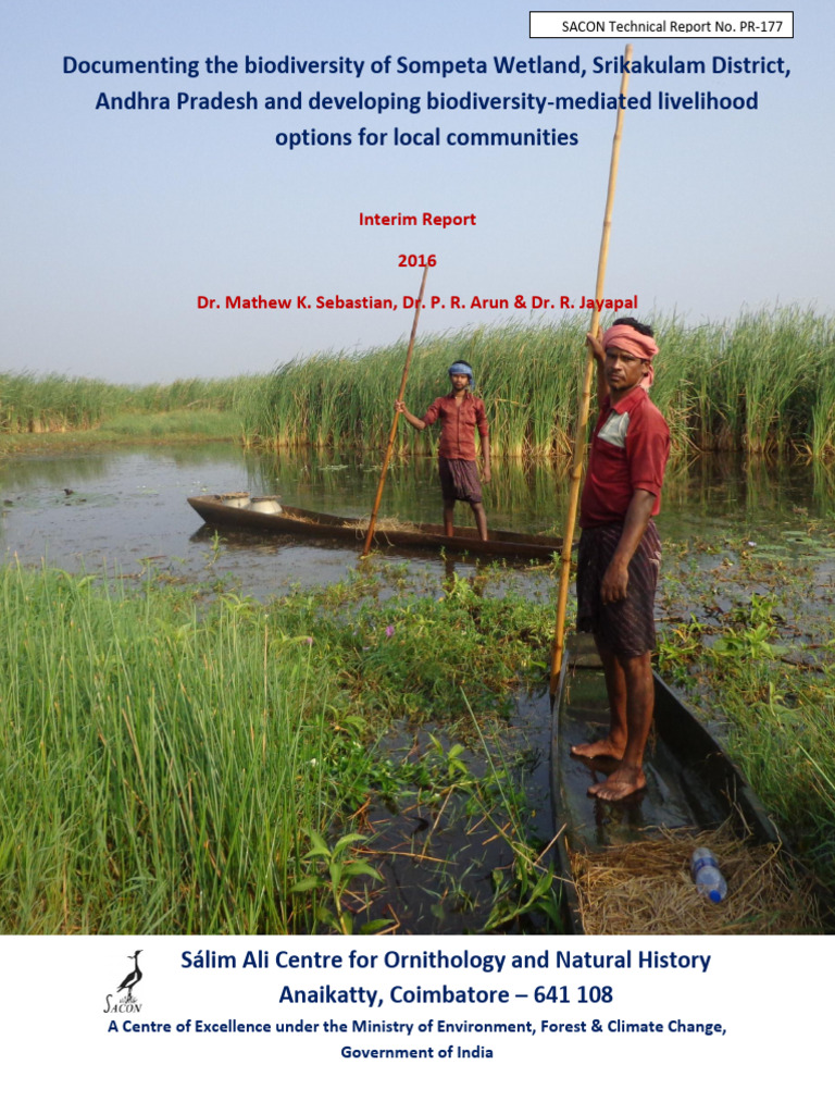 2016 PR177 Report Sompeta | PDF | Wetland | Earth Sciences