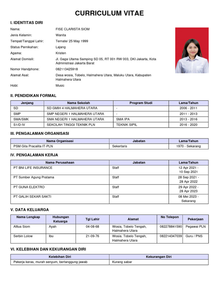 Print CV 001 | PDF