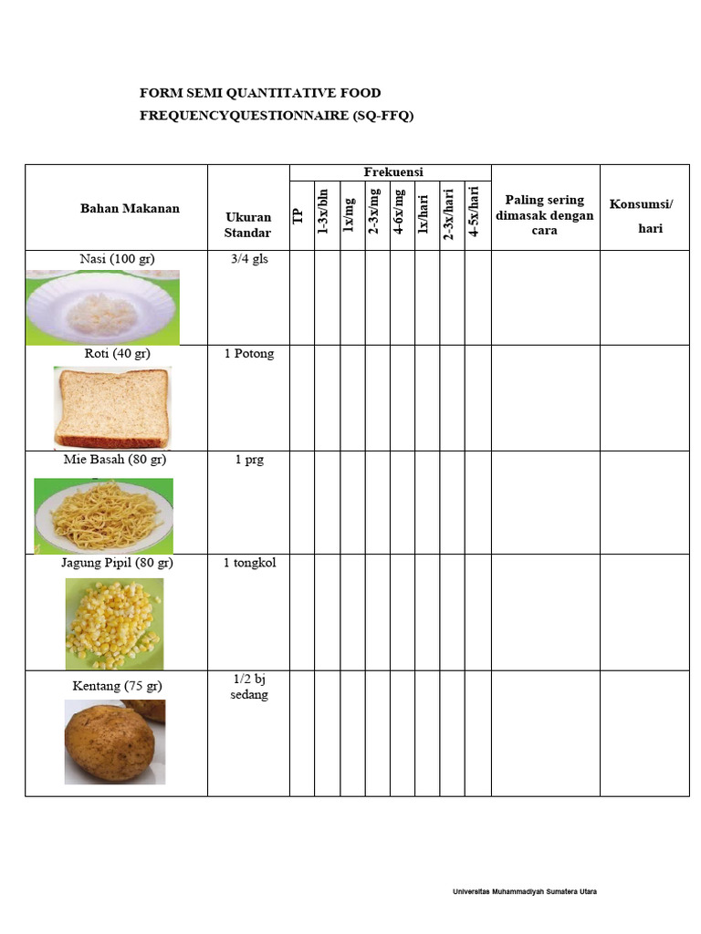 SQ-FFQ Potrait 1 | PDF