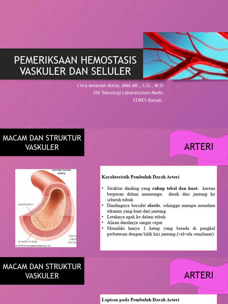 Pemeriksaan Hemostasis Vaskuler | PDF