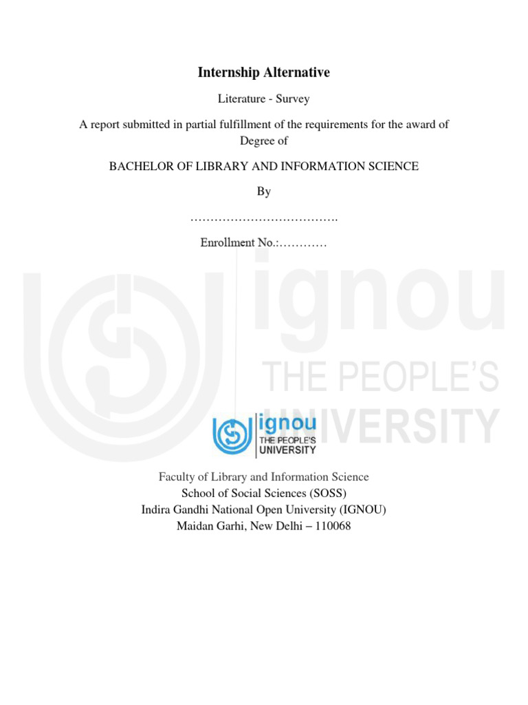 Literature Survey Internship Alternative | PDF | Libraries | Methodology