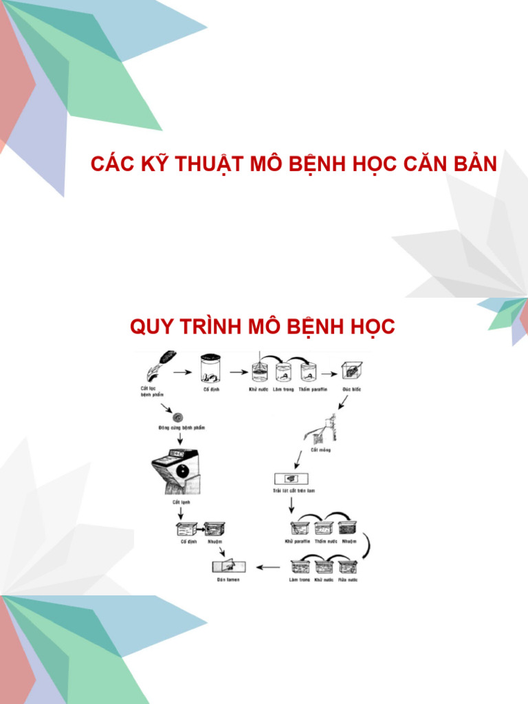 Cat Loc Benh Pham | PDF