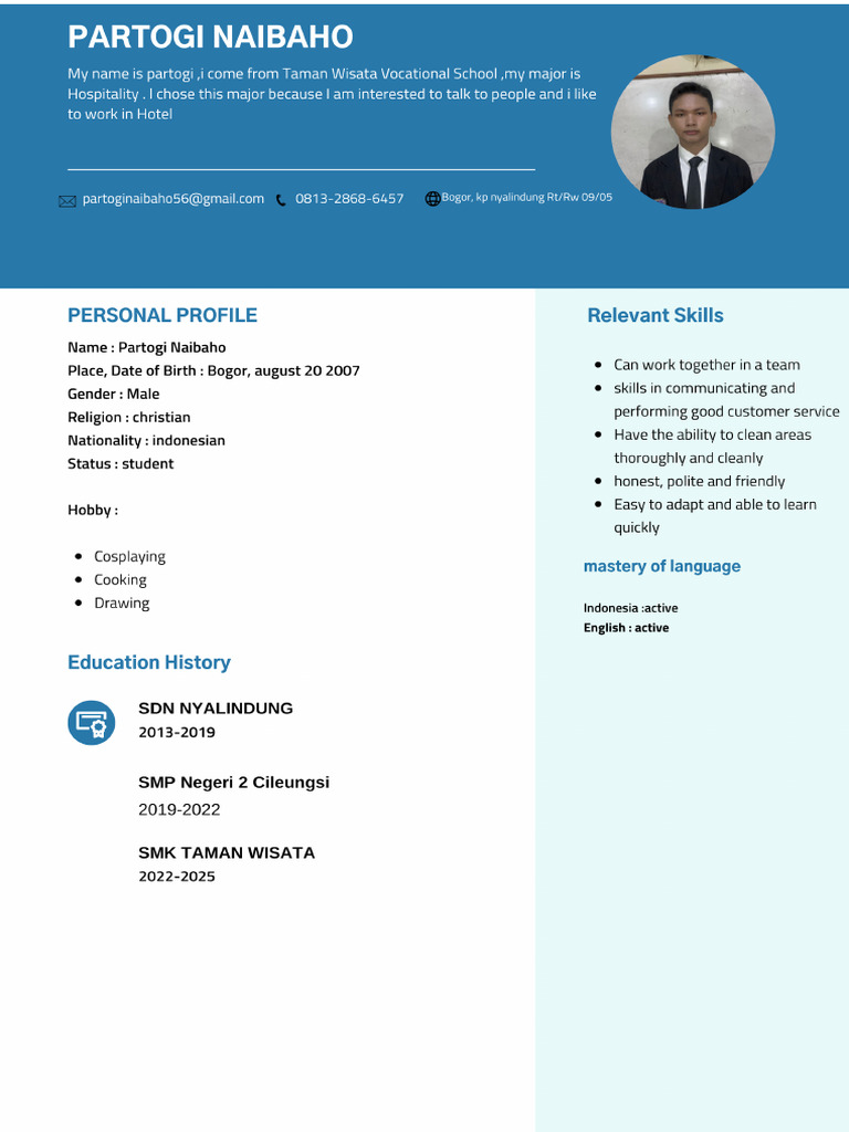 Blue Light Blue Color Blocks Physician CV | PDF