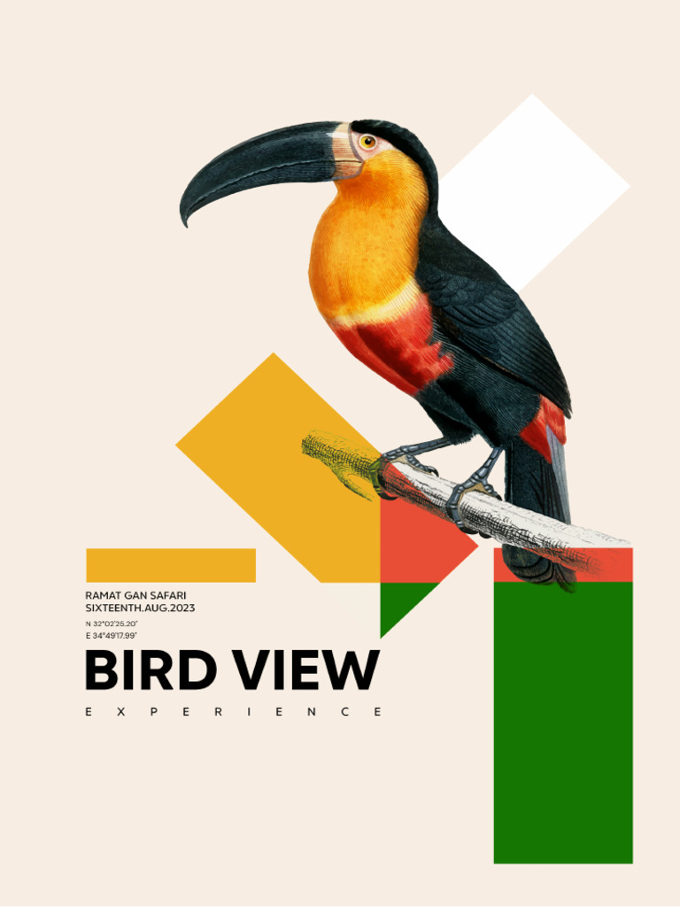 Bird | PDF