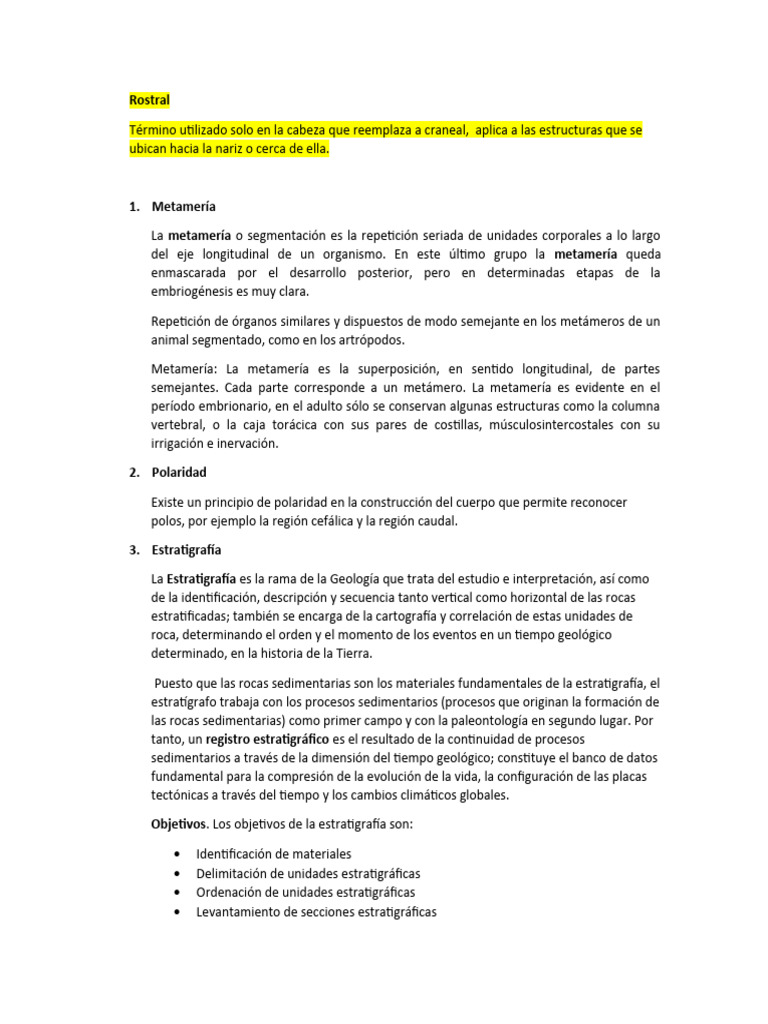 Metamería | PDF | Rayo X | Articulación