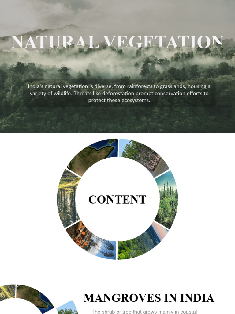 Geography MA2 PPT Team E | PDF | Mangrove | Ecosystem