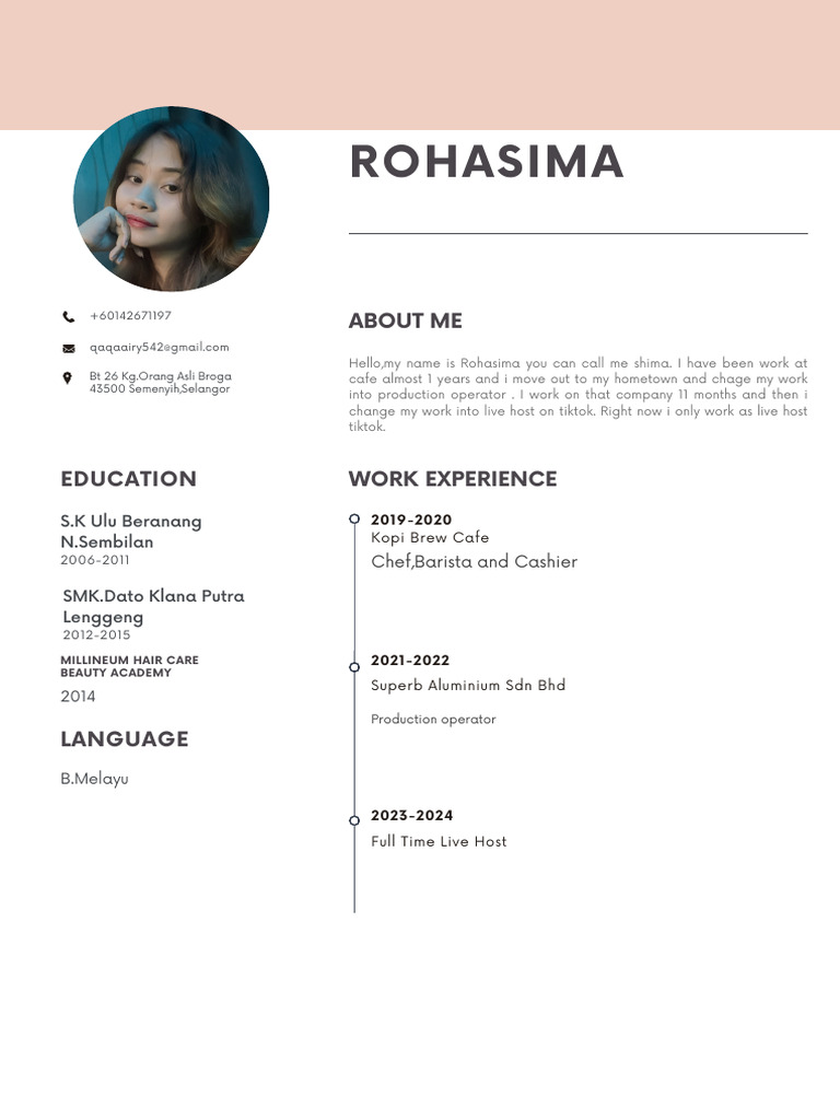 Minimalist Modern Professional Cv Resume Pdf