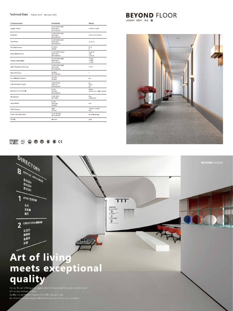 Beyond LVT 2 - Booklet | PDF