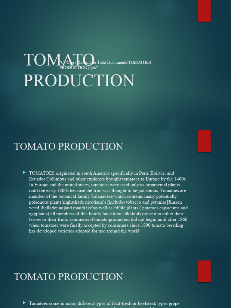 Tomatoes Production | PDF