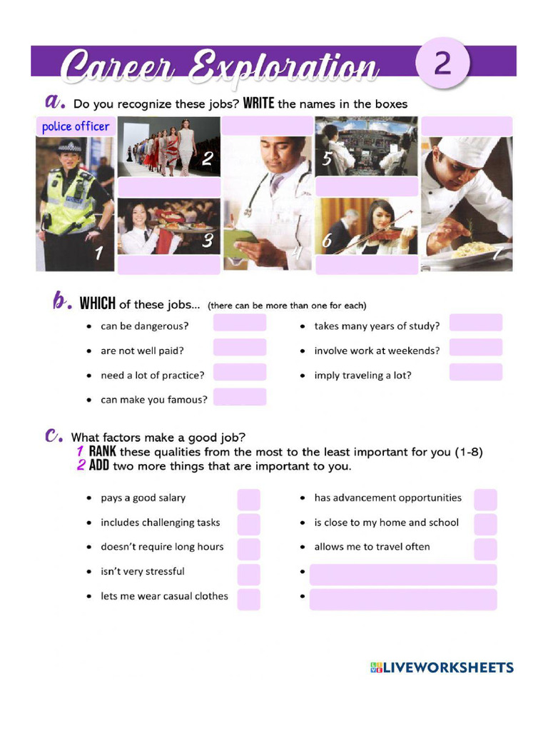 Career Exploration | PDF