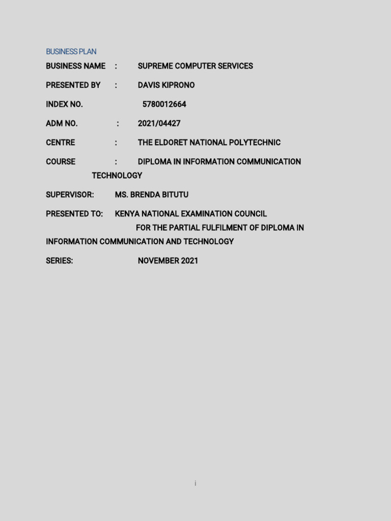 Supreme Computer Services Business Plan | PDF