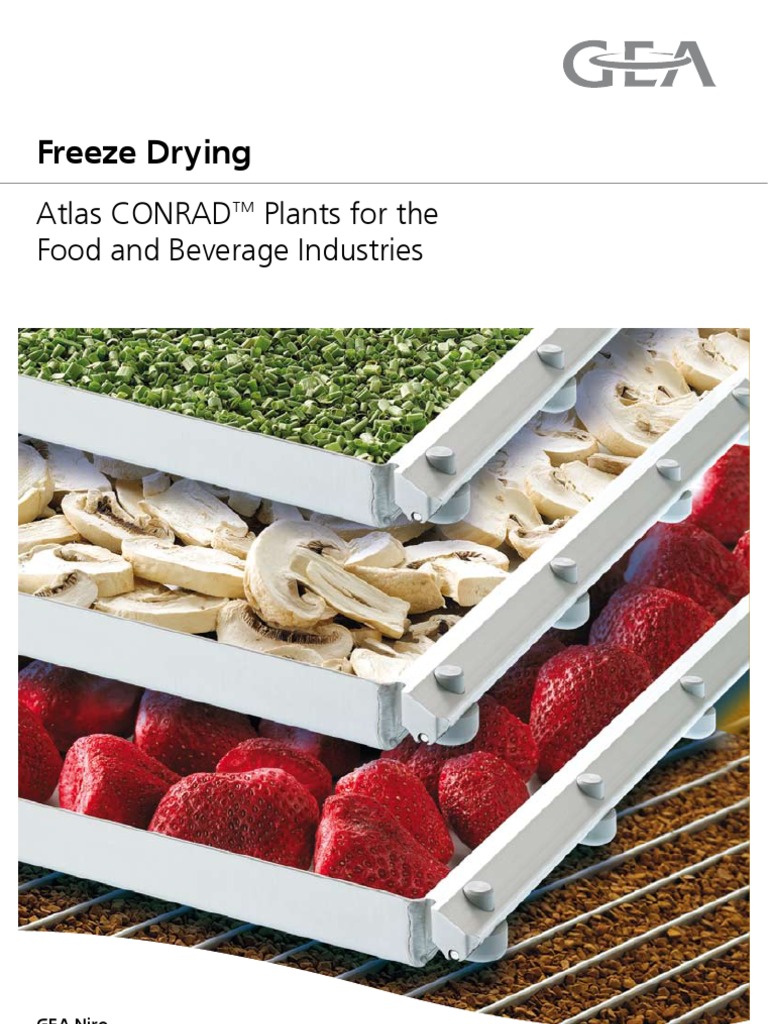 Freeze Drying | PDF | Freeze Drying | Freezing