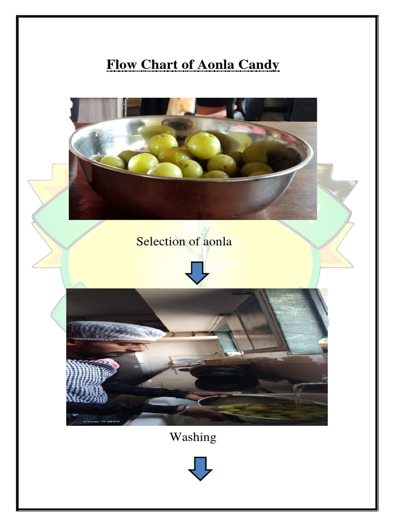 Aonla Candy Flow | PDF