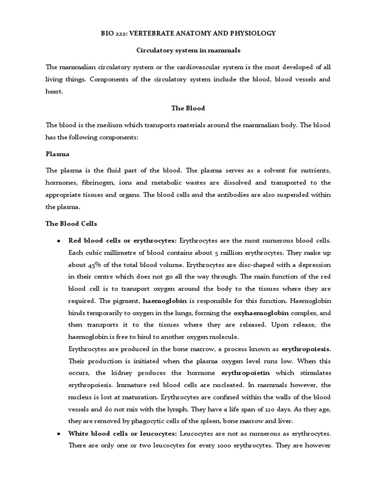 Circulatory System in Mammals | PDF | Blood Type | White Blood Cell