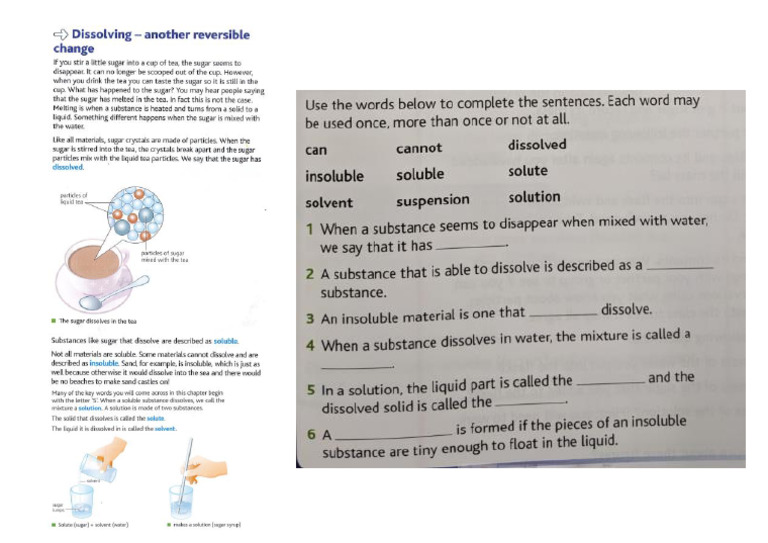 Dissolving Prep Task | PDF