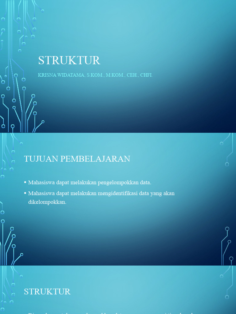 Struct | PDF | Seni | Komputer