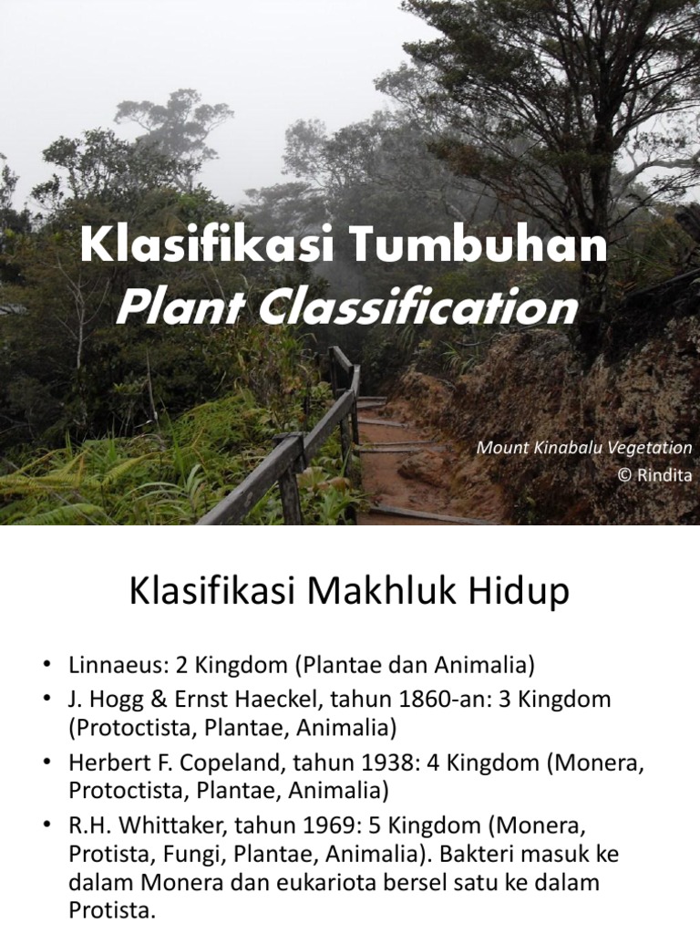 Klasifikasi Tumbuhan | PDF | Science & Mathematics | Home & Garden