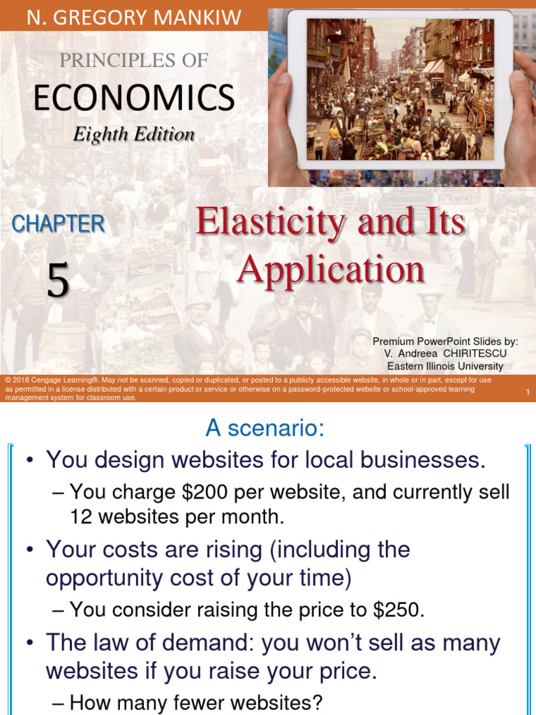L3 Elasticity and Its Application | PDF | Demand | Elasticity (Economics)