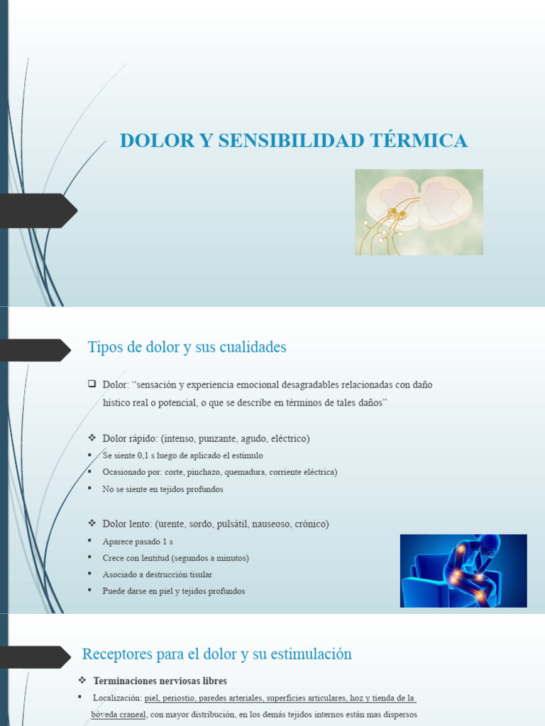 Tipos y Mecanismos del Dolor | PDF