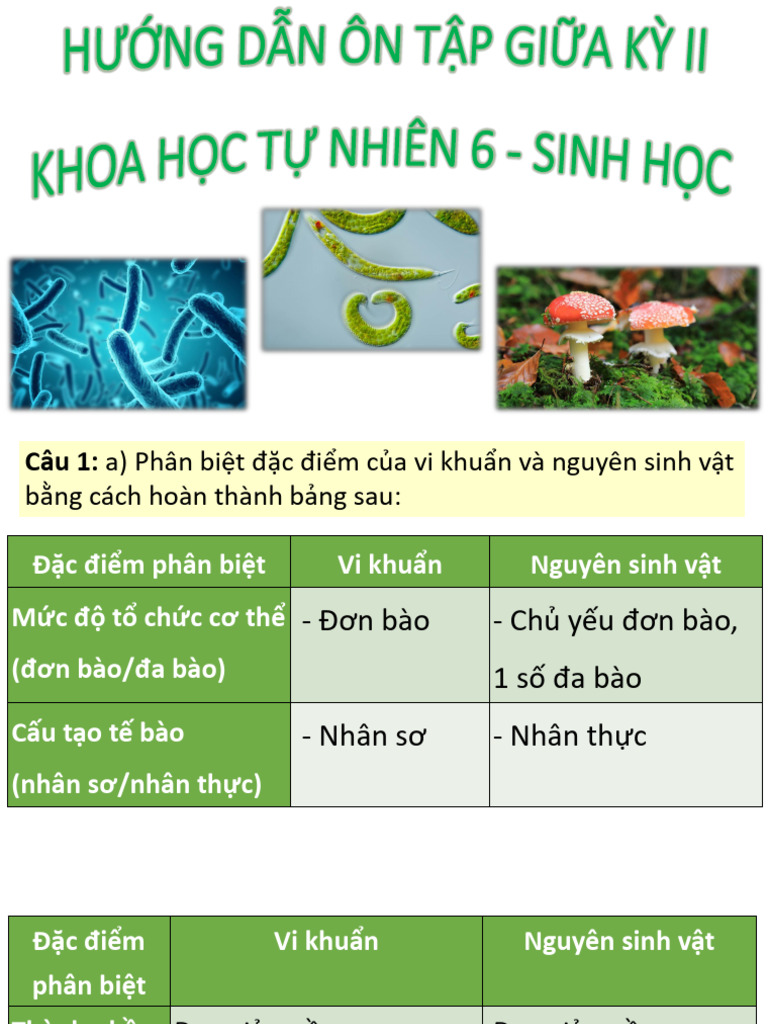 Sinh6.Hd Ôn Tập Gk2.2324 | PDF
