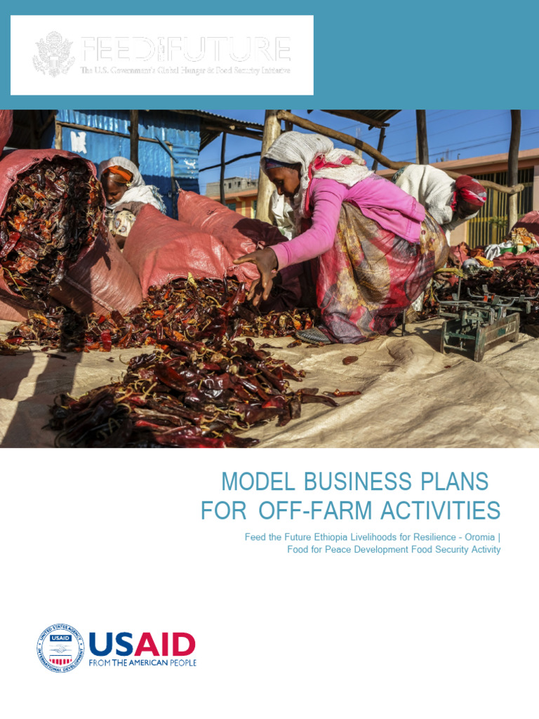 Model Business Plans For Micro Off-Farm Activities | PDF | Gross Margin ...