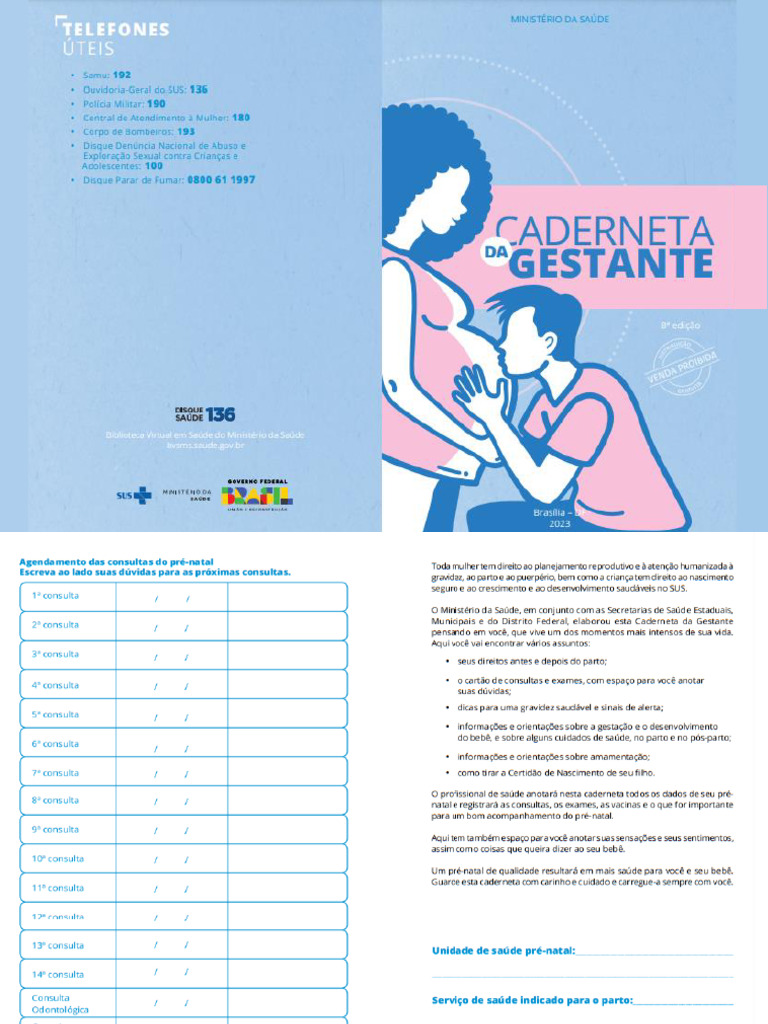 Caderneta Da Gestante | PDF