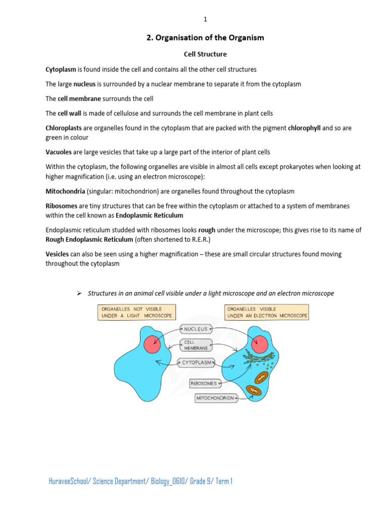 Unit 2 - Notes - 1668145599 | PDF | Cytoplasm | Cell (Biology)