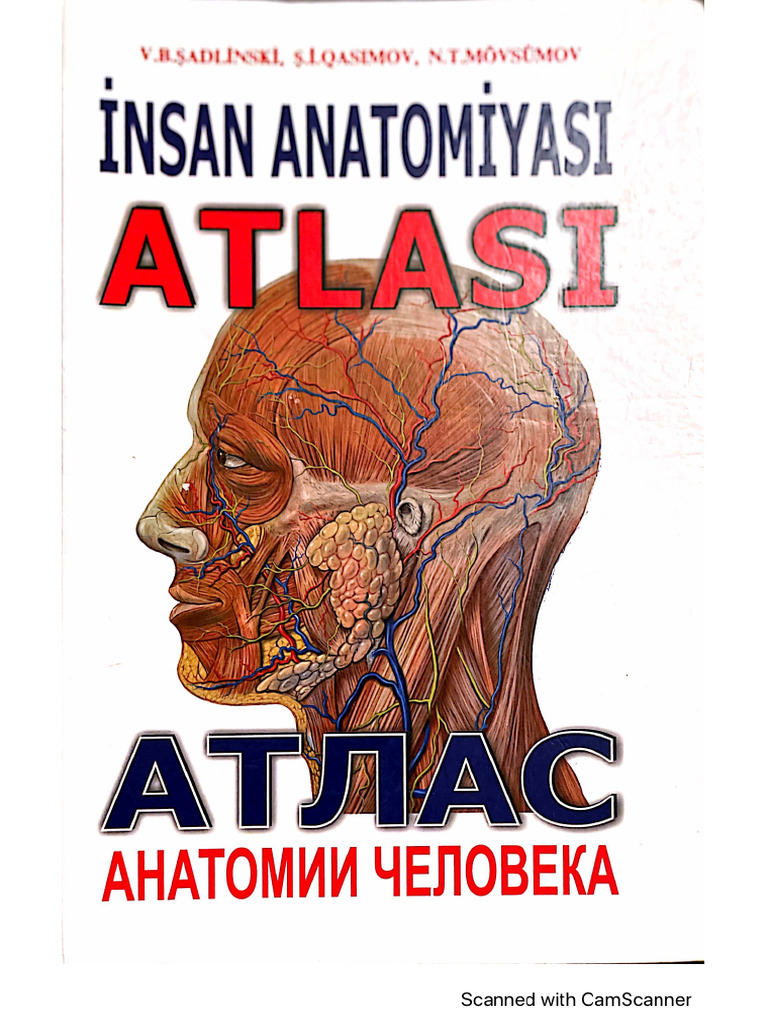 Anatomiya (Atlas) | PDF