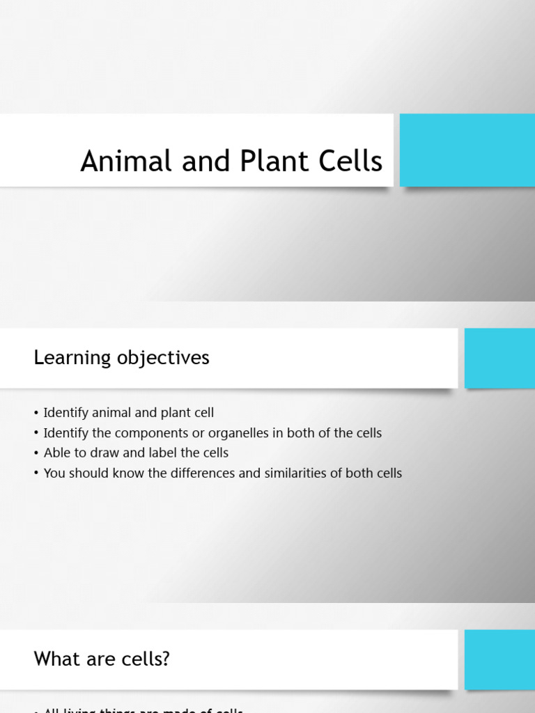 Animal and plant cell | PDF | Cell (Biology) | Cytoplasm