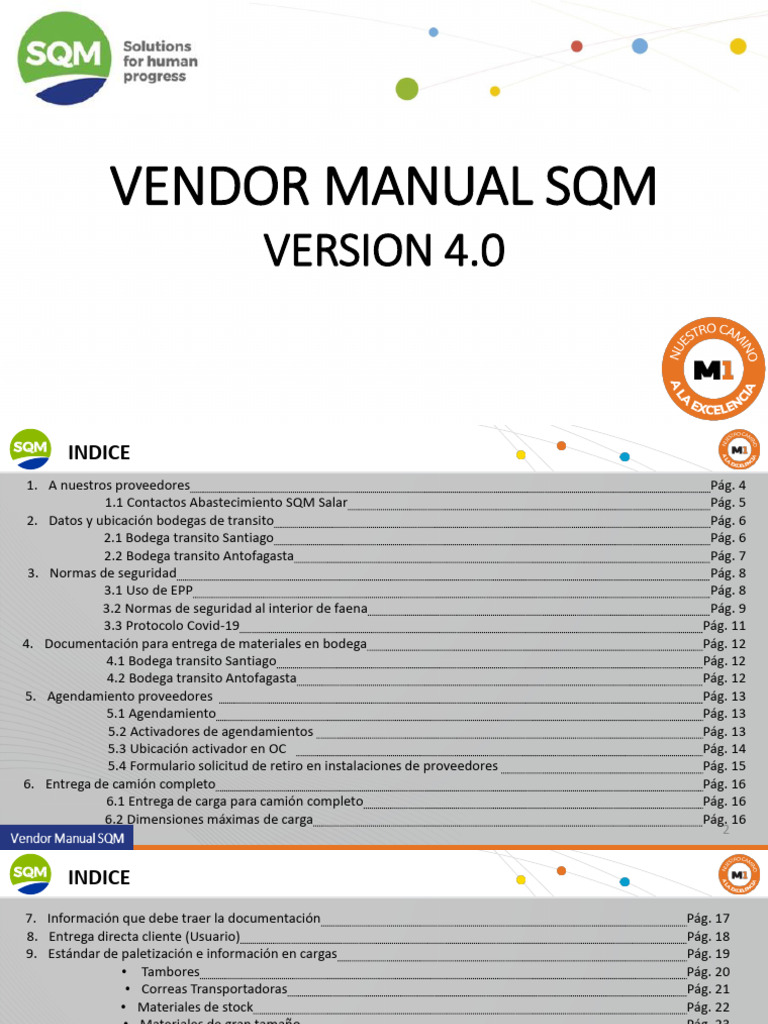 Manual Vendedor SQM | PDF