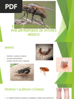 Prurigo por Insectos: Epidemiología y Tratamiento | PDF
