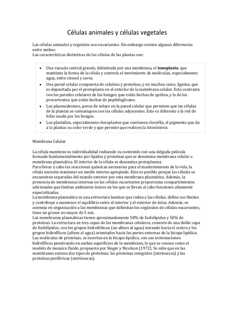 Celulas Animales y Celulas Vegetales | PDF | Bicapa lipídica | Membrana ...