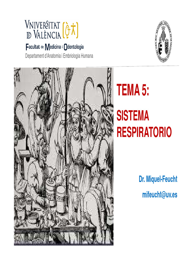 Tema 5. Sistema Respiratorio | PDF