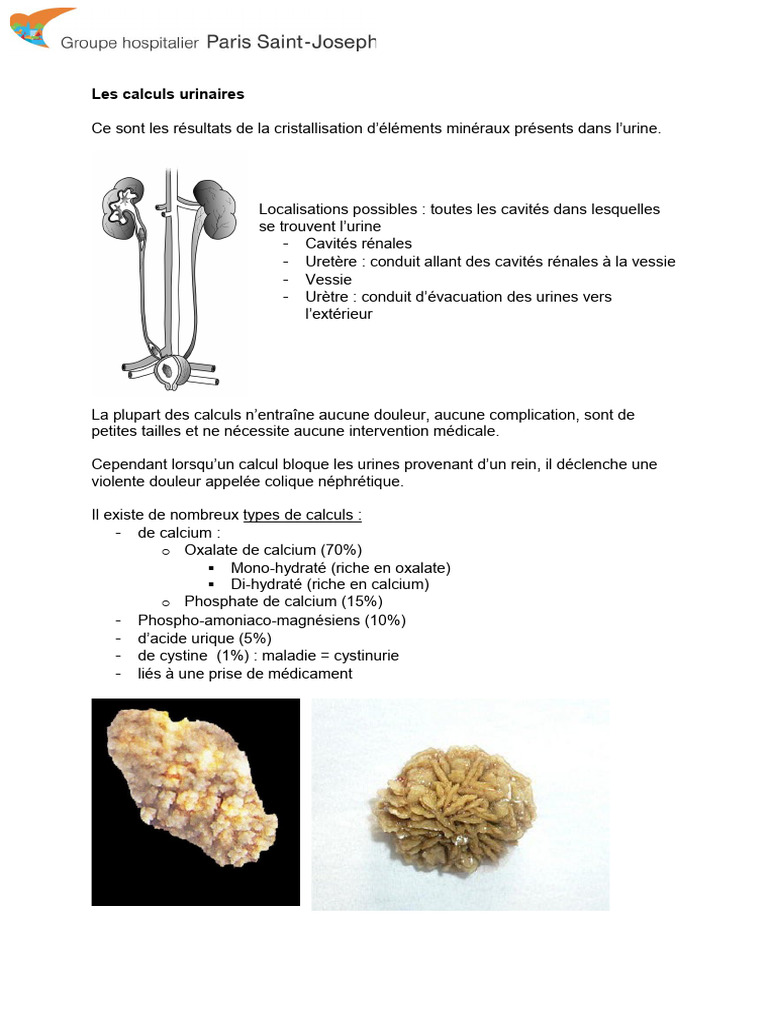 Calculs Urinaires | PDF | Système génito-urinaire | Rein