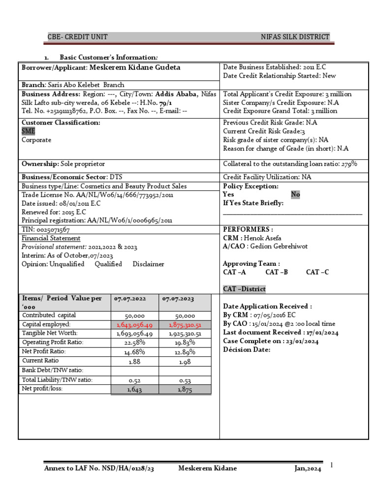 Meskerem Kidane Final | PDF | Debt | Leverage (Finance)
