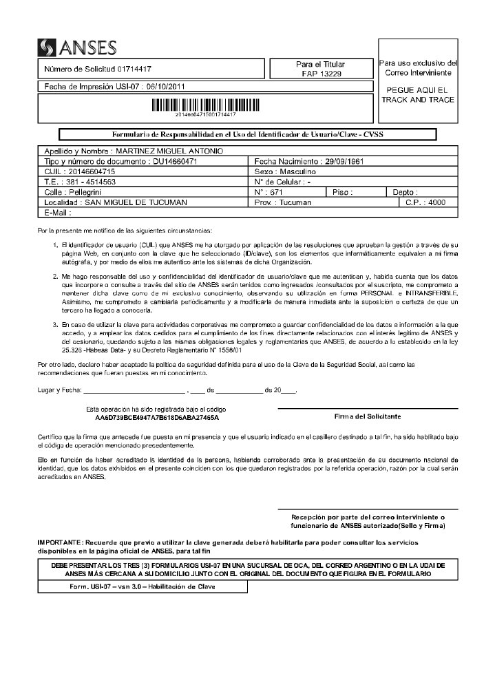 ANSES - Formulario USI-07 | PDF