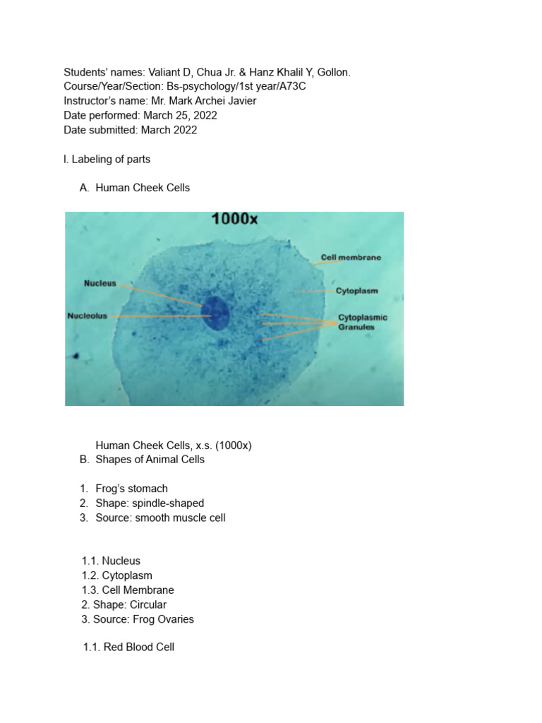 Act 2 Chua Valiant, Gollon Hanz | PDF | Cell (Biology) | Frog