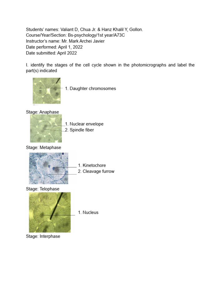 Act 4 (Gollon, Hanz - Chua, Valiant) | PDF