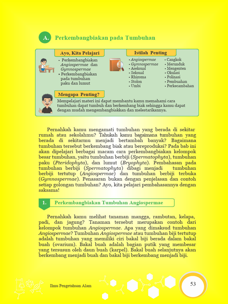 1 Perkembangbiakan Tumbuhan Angiospermae | PDF | Griya & Taman | Kesehatan Holistik