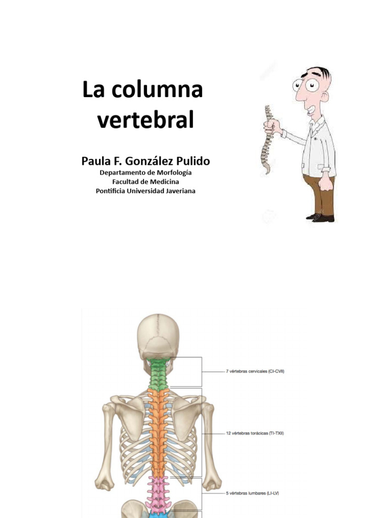 Columna 1 | PDF